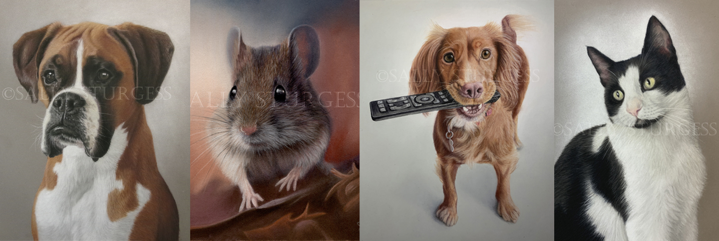 Pet Portraits & Wildlife Art – Pet portraits from photos in ...